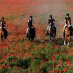 Ride in Rome with meal and wine included - Why This Tour Stands Out