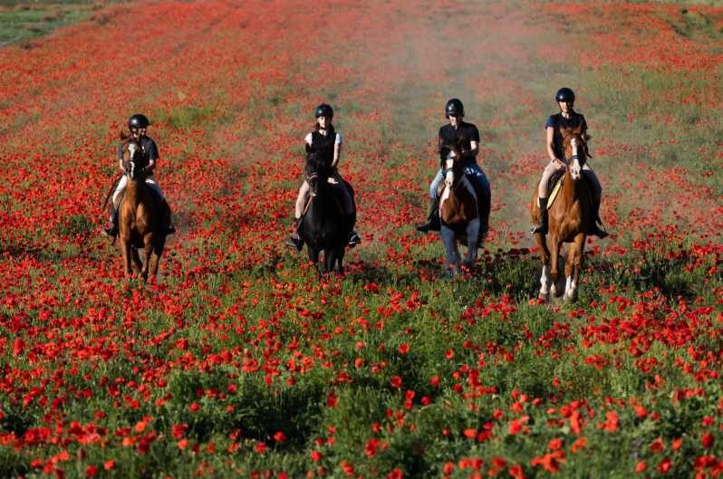 Ride in Rome with meal and wine included - Why This Tour Stands Out