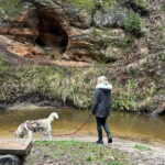 Riga: Husky Hike in the Nature Trail - Who Will Love This Tour?