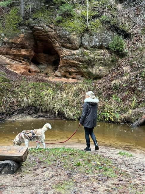 Riga: Husky Hike in the Nature Trail - Who Will Love This Tour?