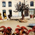 Riga Jewish History Tour - What Makes the Riga Jewish History Tour Stand Out?
