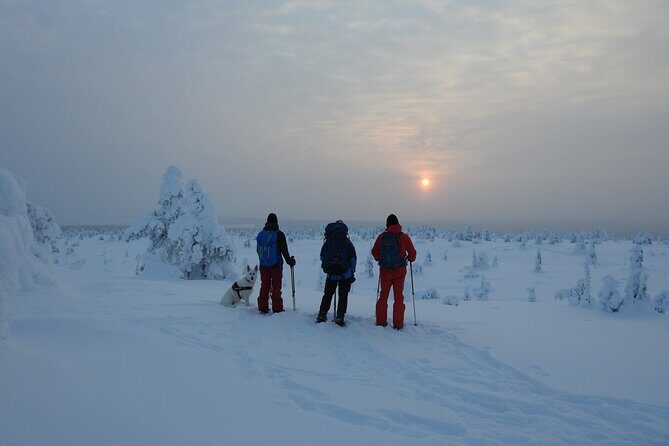 Riisitunturi National Park Snowshoe Experience - Discovering the Frozen Wonderland of Riisitunturi