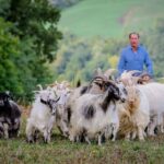 Rimini: San Leo Cashmere Farm Experience - Who Will Love This Experience?