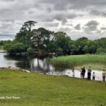 Ring of Kerry tour - Exploring the Itinerary: What You Can Expect