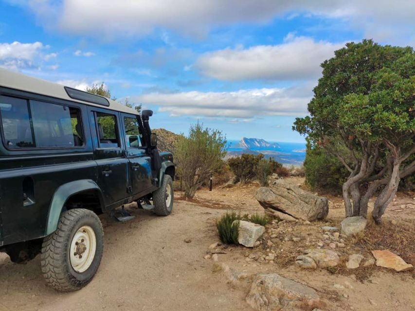 Rio Pitrisconi: Hiking e 4x4 nel Monte Nieddu - Practical Details and Value