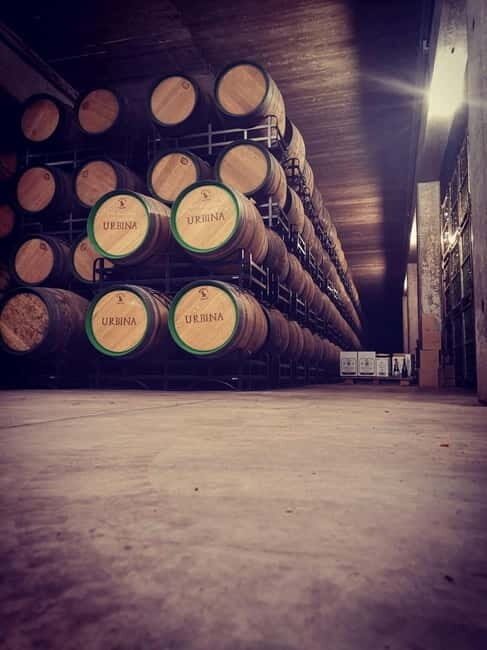 Rioja Day Tour: Explore Three Wineries with Tastings - The Sum Up