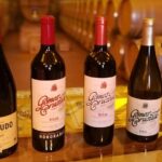 Rioja Wine Private Tour from San Sebastian - Who Is This Tour Perfect For?