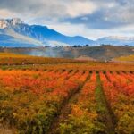 Rioja Wine Tour - Logistics and Practical Details