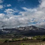 Rioja Wine Tour: Winery & Traditional Lunch From Pamplona - Transportation and Group Size