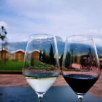 Rioja: Wine Tour with a Local Expert with Tastings - What Makes This Tour Stand Out?
