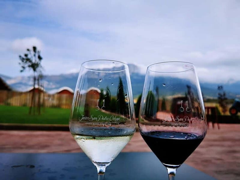 Rioja: Wine Tour with a Local Expert with Tastings - What Makes This Tour Stand Out?