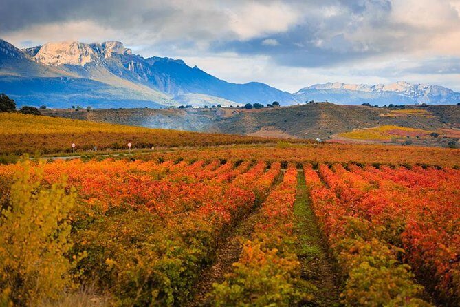 Rioja Wine Tour - Logistics and Practical Details