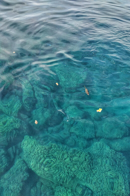 Riomaggiore: Cinque Terre Daytime Cruise with Snorkeling - What We Appreciate and What to Consider