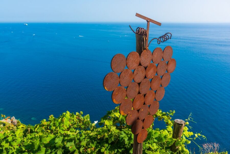 Riomaggiore: Vineyard & Wine Cellar Tour with Wine Tasting - What Makes This Tour Stand Out?