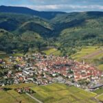Riquewihr: Private Guided Walking Tour - Exploring Riquewihr’s Charm