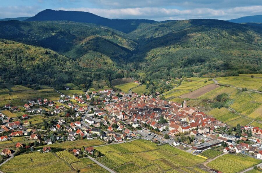 Riquewihr: Private Guided Walking Tour - Exploring Riquewihr’s Charm