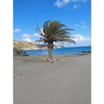RIVIERA - Vai Palm Beach, Toplou Monastery - Who Should Consider This Tour?