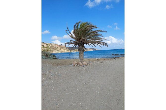 RIVIERA - Vai Palm Beach, Toplou Monastery - Who Should Consider This Tour?