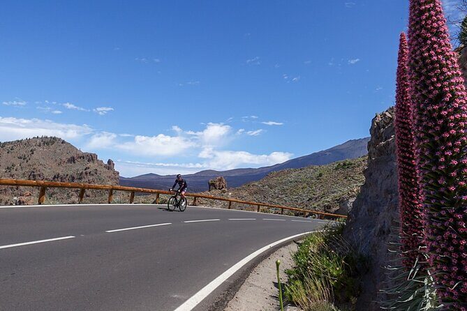 Road Cycling Tenerife - Teide Route - Frequently Asked Questions