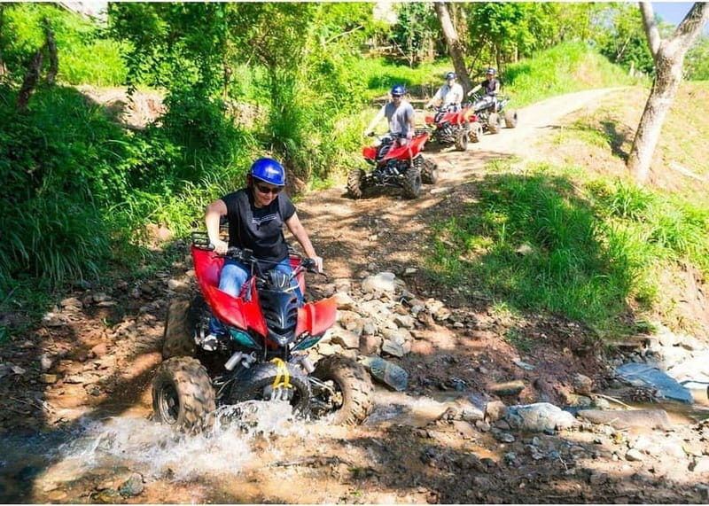 Roatan: Muddy Jungle Buggy Tour Off-Road Adventure - What’s Included and What to Consider