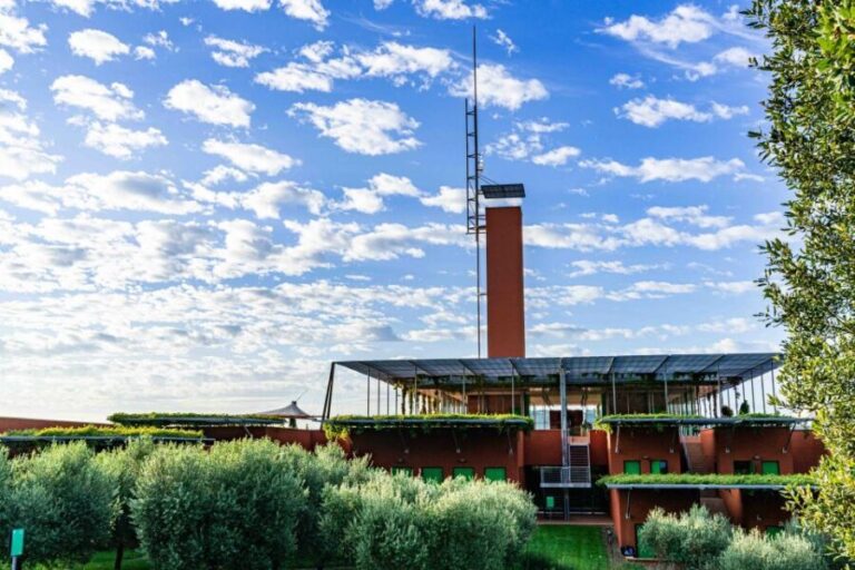 Rocca di Frassinello Winery: Tour & Wine Tasting in Tuscany - The Etruscan Exhibition