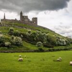 Rock Of Cashel And Blarney Castle Private Chauffeur Full Day Sightseeing Tour - Analyzing the Value