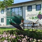 Romagna: Wine Tour with The Winemaker - Practical Details and Value