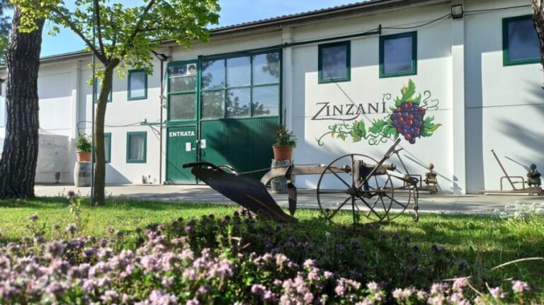Romagna: Wine Tour with The Winemaker - Practical Details and Value
