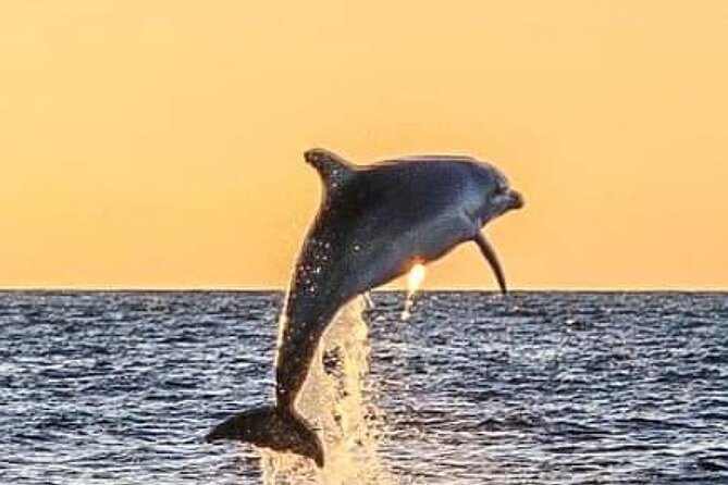 Romantic Boat Trip with Dolphin Watching - Key Points