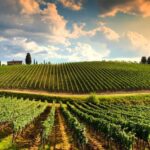Romantic Escape in Tuscany with Overnight and Wine Tasting - What Real Travelers Say