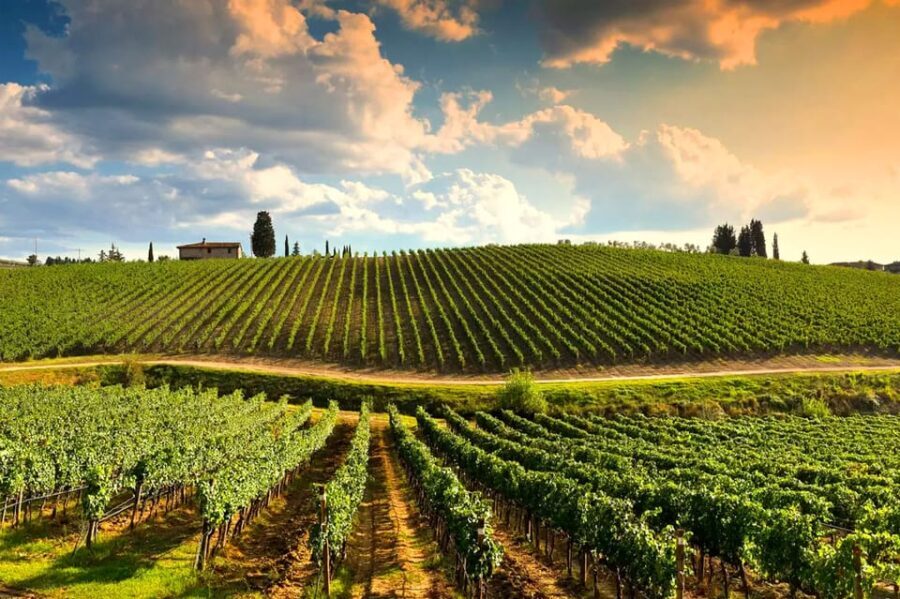 Romantic Escape in Tuscany with Overnight and Wine Tasting - What Real Travelers Say