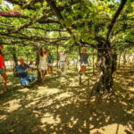 Romantic Tuk Tuk Tour with Wine Tasting in Amalfi Hills - Key Points