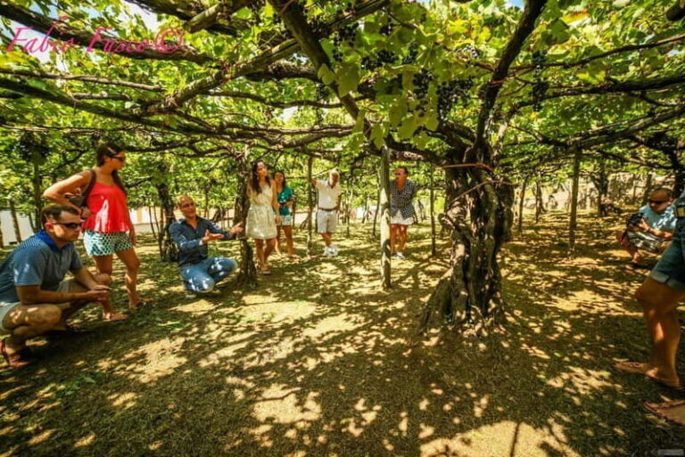 Romantic Tuk Tuk Tour with Wine Tasting in Amalfi Hills - Key Points