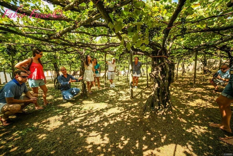 Romantic Tuk Tuk Tour with Wine Tasting in Amalfi Hills - Key Points