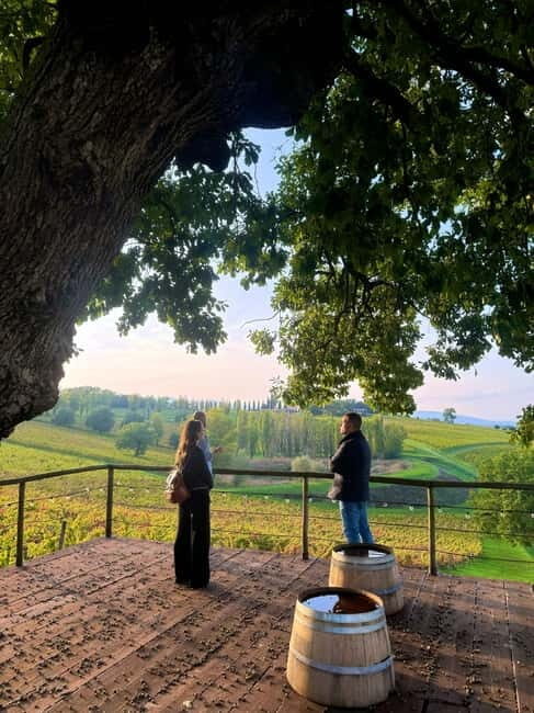 Rome: Assisi, Montefalco wines & Perugia Day Trip with Lunch - Montefalco: Wine, Views, and Viticulture