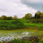 Rome: Caffarella Park Guided Walking Tour - The Ninfeo di Egeria: Ancient Water Shrine