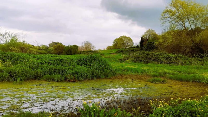 Rome: Caffarella Park Guided Walking Tour - The Ninfeo di Egeria: Ancient Water Shrine