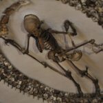 Rome: Capuchin Crypts Express Tour - The Experience’s Highlights and Practical Details