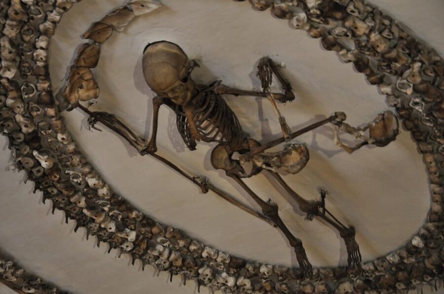 Rome: Capuchin Crypts Express Tour - The Experience’s Highlights and Practical Details
