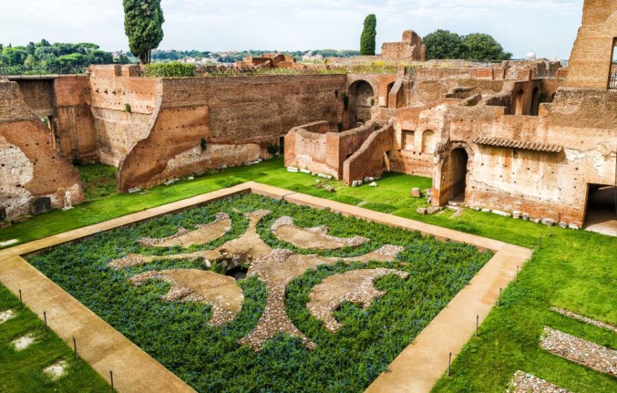 Rome: Colosseum Arena, Forum & Palatine Hill Private tour - The Practicalities