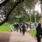 Rome: Colosseum, Palatine Hill & Roman Forum Guided Tour - Why This Tour Offers Good Value