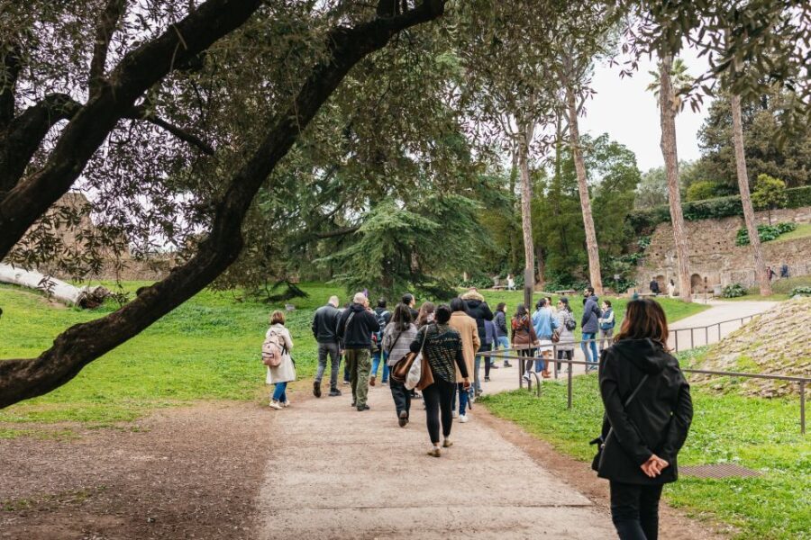 Rome: Colosseum, Palatine Hill & Roman Forum Guided Tour - Why This Tour Offers Good Value