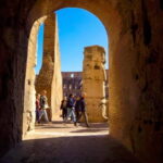 Rome: Colosseum Private Tour with Palatine & Forum Entry - Who Will Appreciate This Tour?