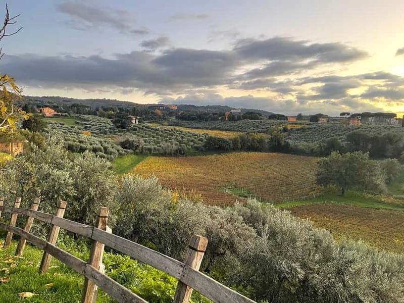 Rome Countryside: Wine Tasting Tour with Private Driver - The Value of This Wine Tasting Tour