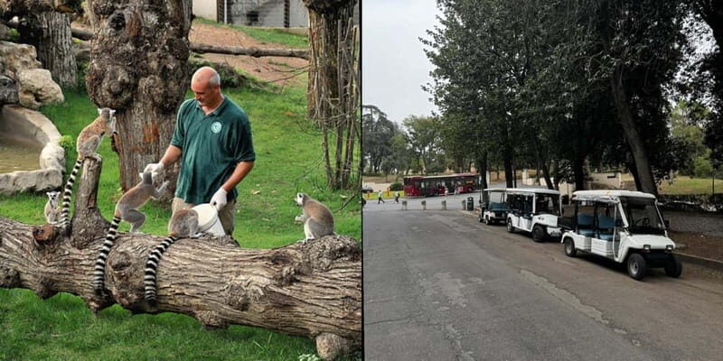 Rome: Entrance ticket to the Zoo+Tour by Golf Cart in Villa Borghese - A Detailed Look at the Tour Experience