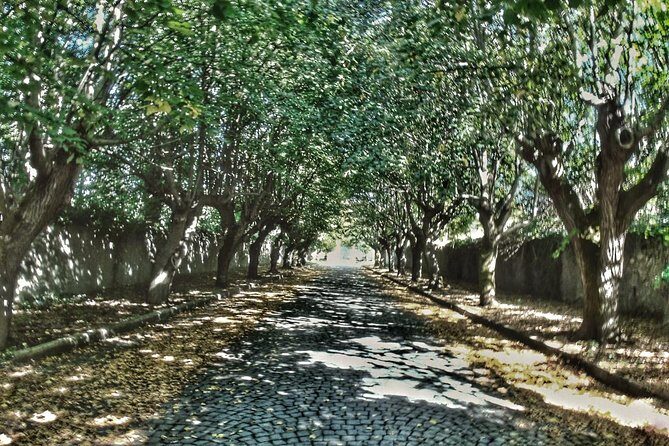 Rome: Frascati Vineyard Bike Tour with Train Tickets - Value and Practicalities