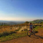 Rome: Frascati Vineyard Bike Tour with Wine Tasting - What Makes This Tour Special?