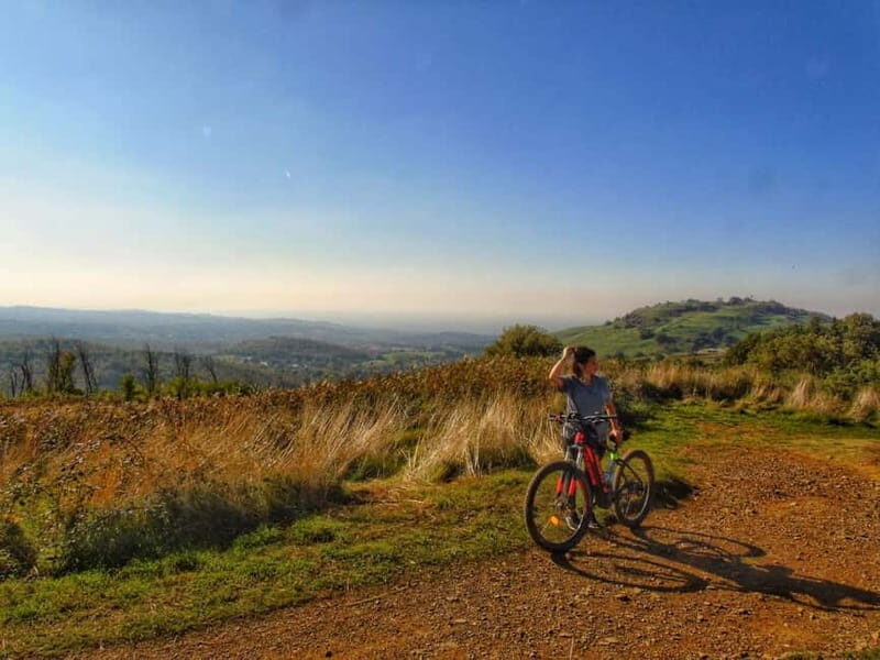 Rome: Frascati Vineyard Bike Tour with Wine Tasting - What Makes This Tour Special?