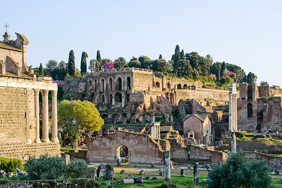 Rome: Guided Tour of Colosseum, Roman Forum & Palatine Hill - What Makes This Tour Stand Out