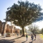 Rome: Hadrian's Villa and Villa d'Este Half-Day Tour - What You Can Expect from the Tour